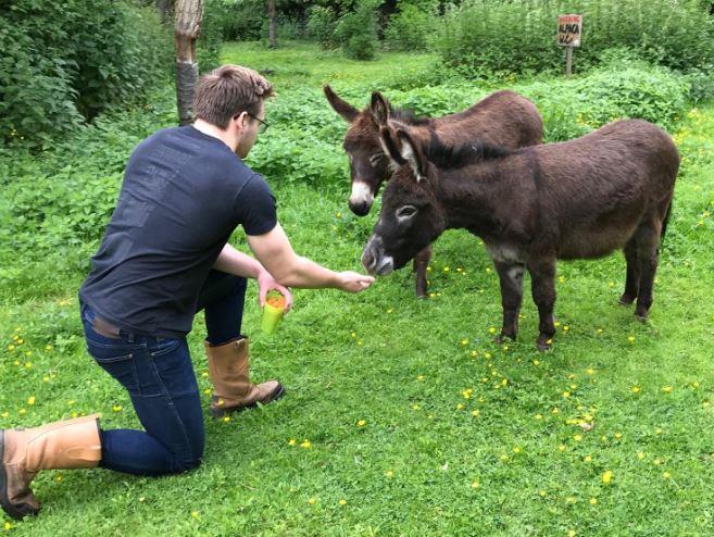 Farm Animal Experiences near Faversham - Visit Swale