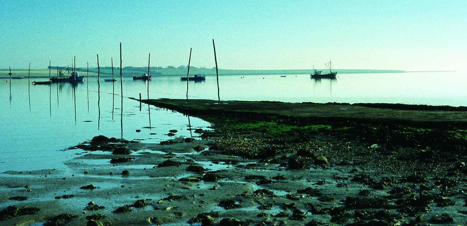 Policies - Visit Swale