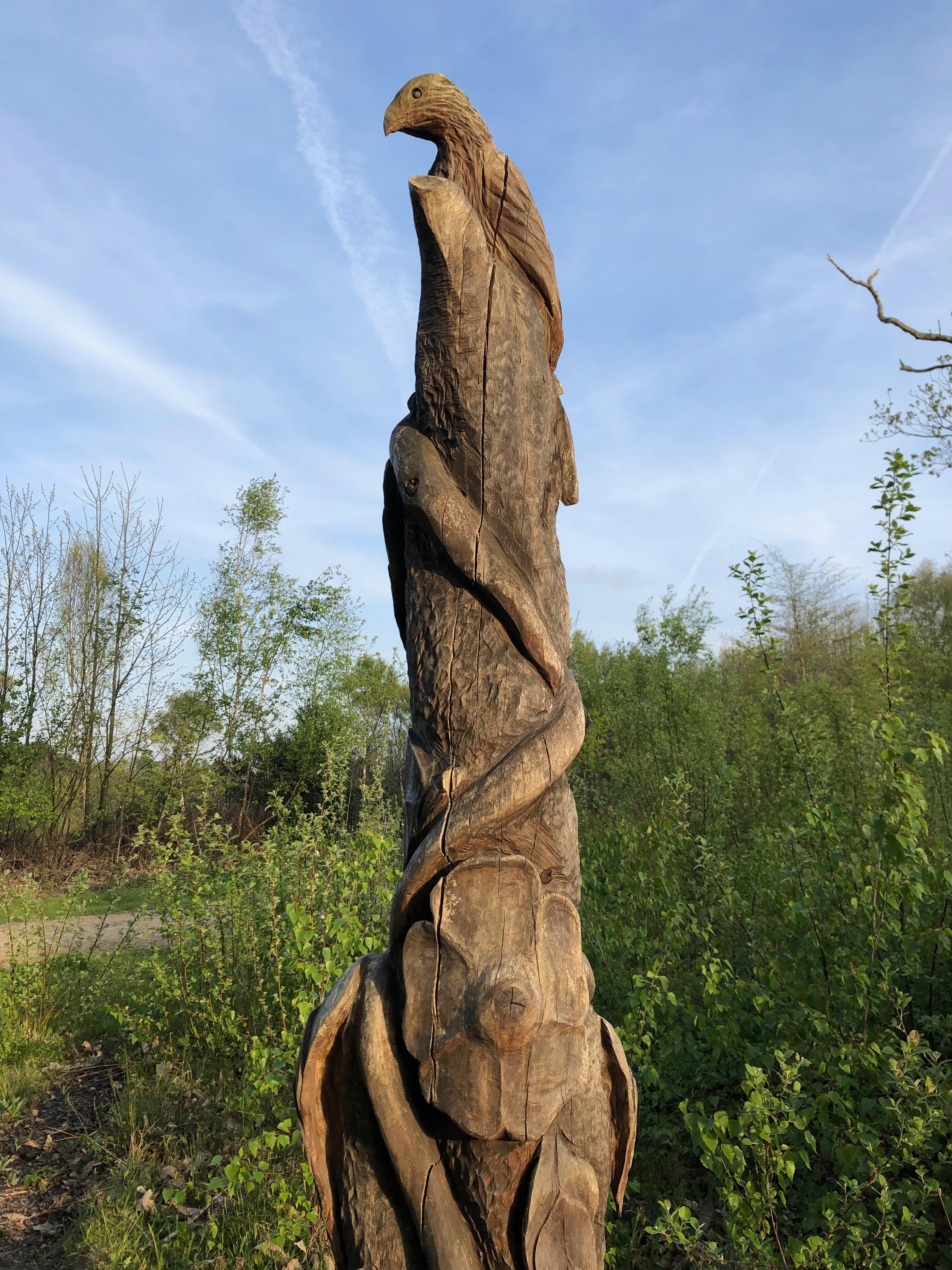 The Woodland & Duck Ponds Trail Circular Walk - Visit Swale